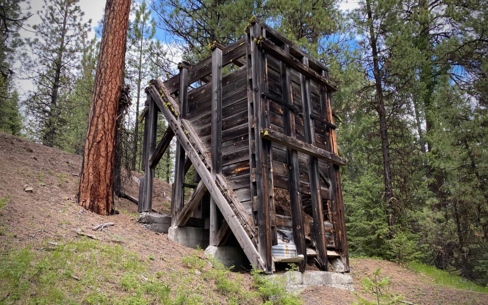 Big Summit Prairie / Gravel Ride Guide by Dirty Freehub