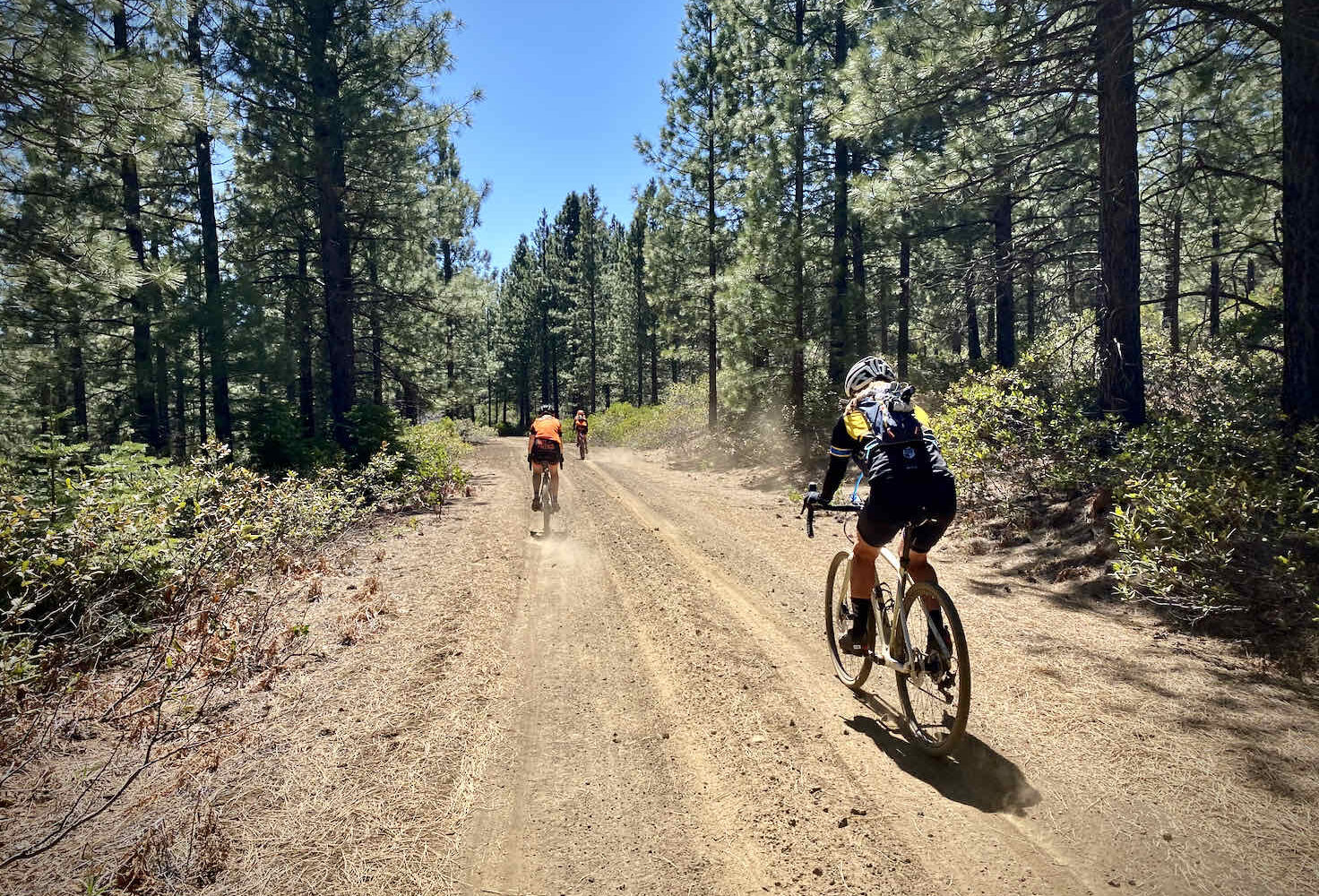 GravelCracker (The Classic) / Gravel Ride Guide by Dirty Freehub