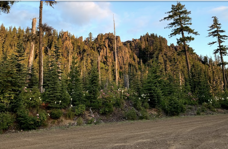 Brickhouse / Gravel Ride Guide by Dirty Freehub