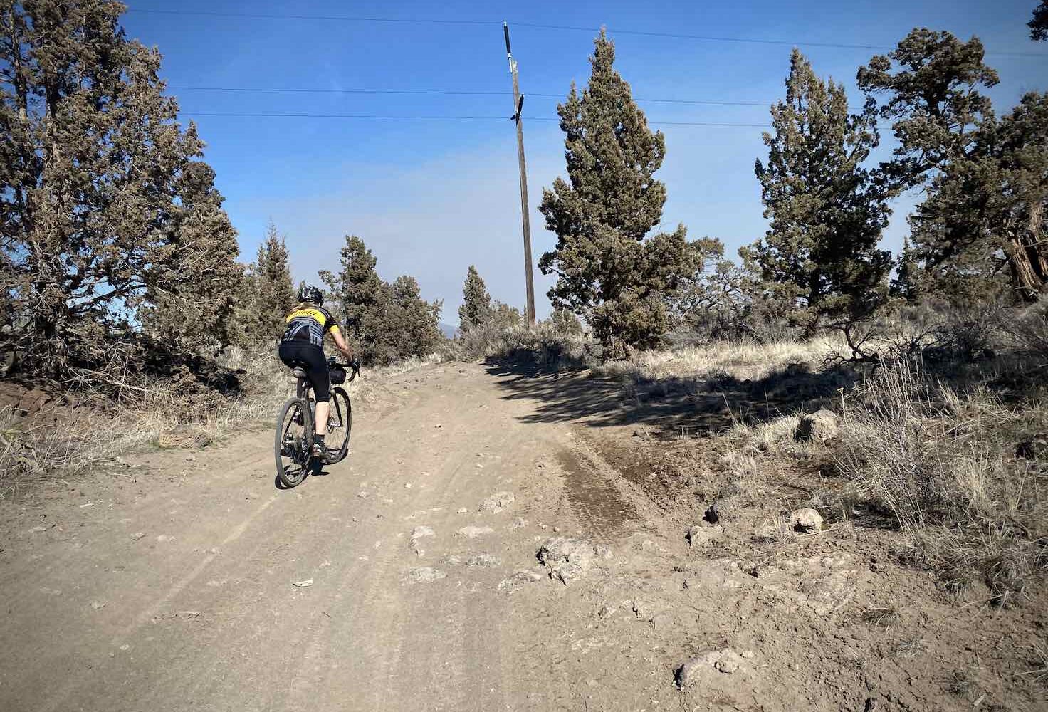 Alpaca / Gravel Ride Guide by Dirty Freehub