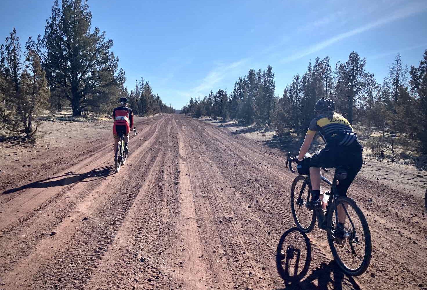 Alpaca / Gravel Ride Guide by Dirty Freehub