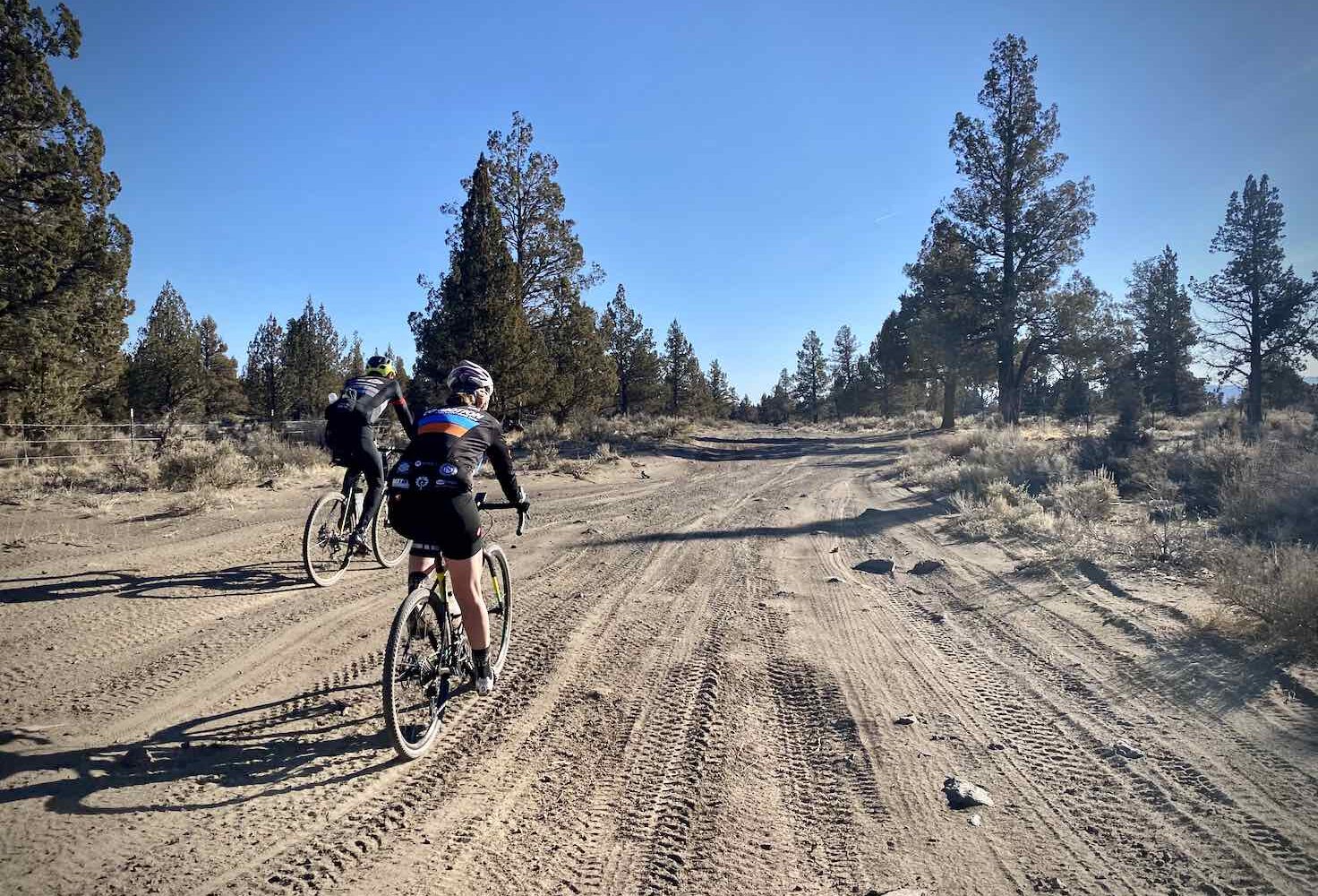 Alpaca / Gravel Ride Guide by Dirty Freehub