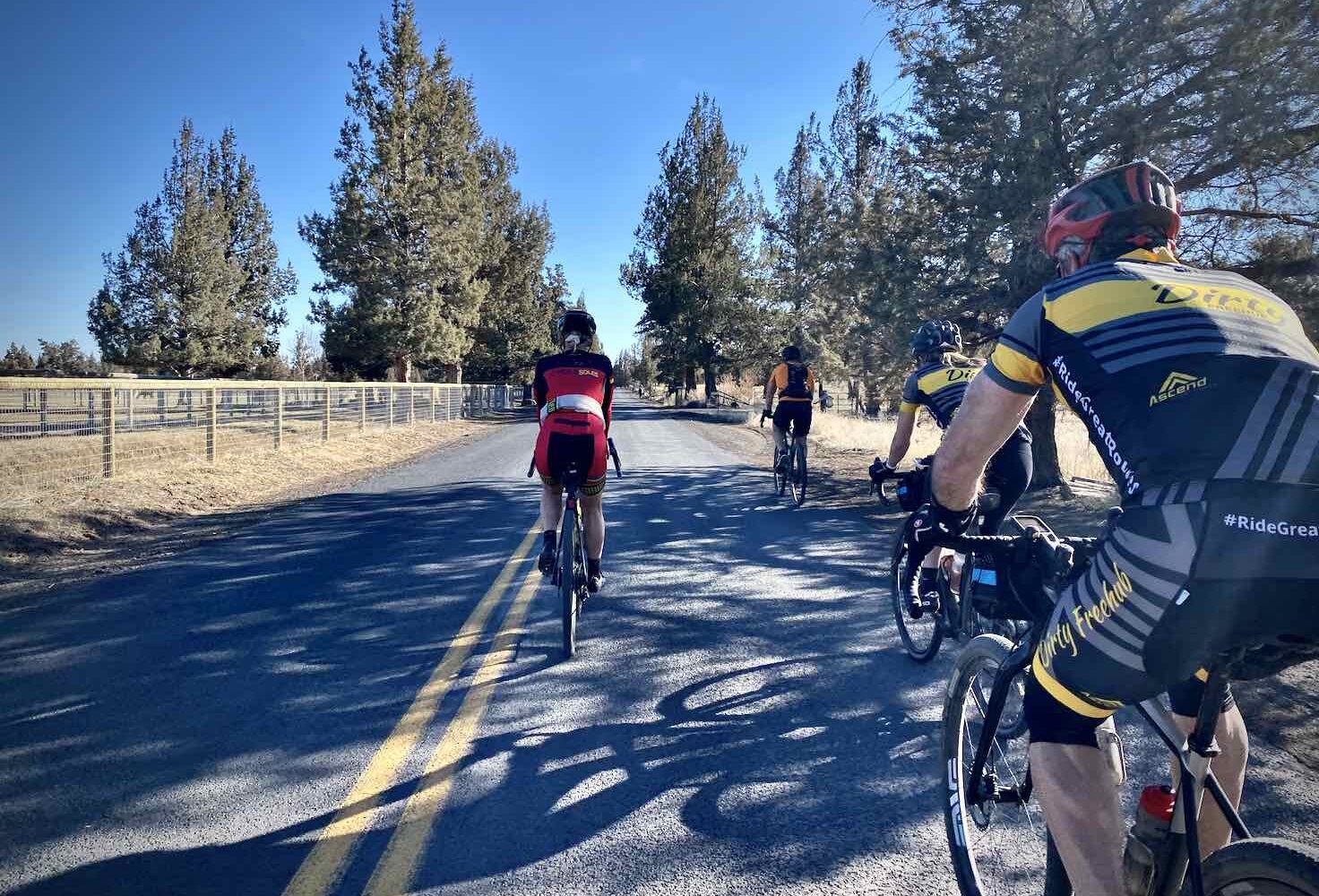 Alpaca / Gravel Ride Guide by Dirty Freehub