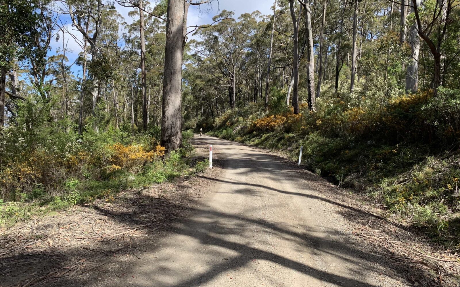 Scamander / Gravel Ride Guide by Dirty Freehub