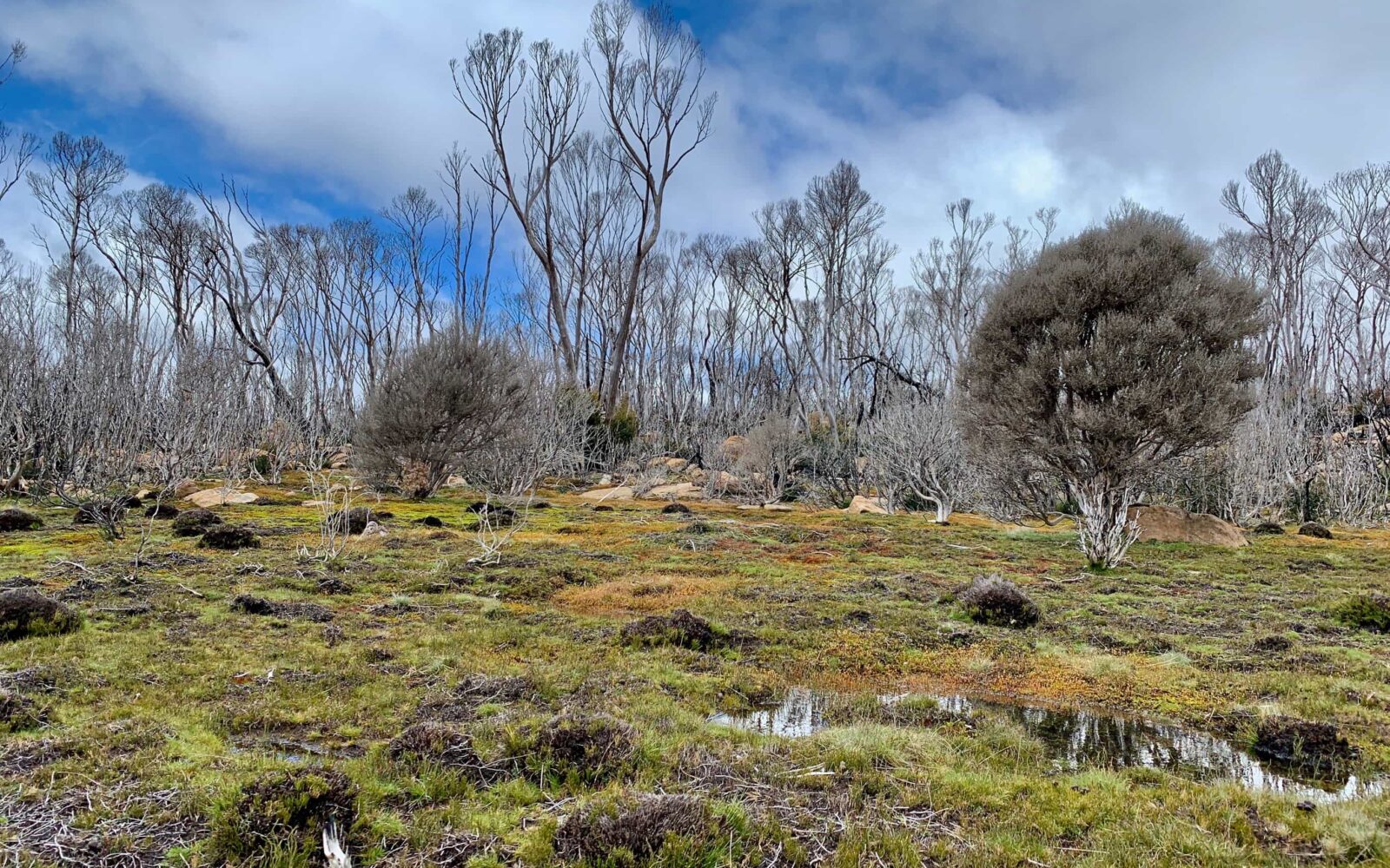 Devil's Gullet / Gravel Ride Guide by Dirty Freehub
