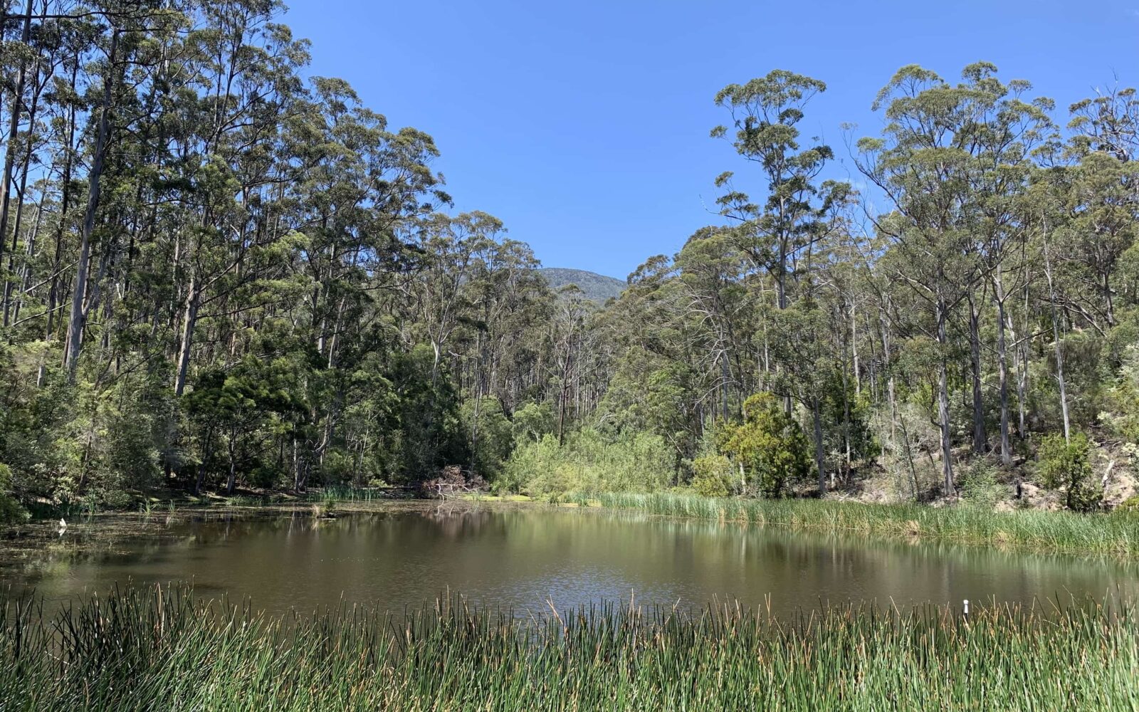 Maria Island / Gravel Ride Guide by Dirty Freehub