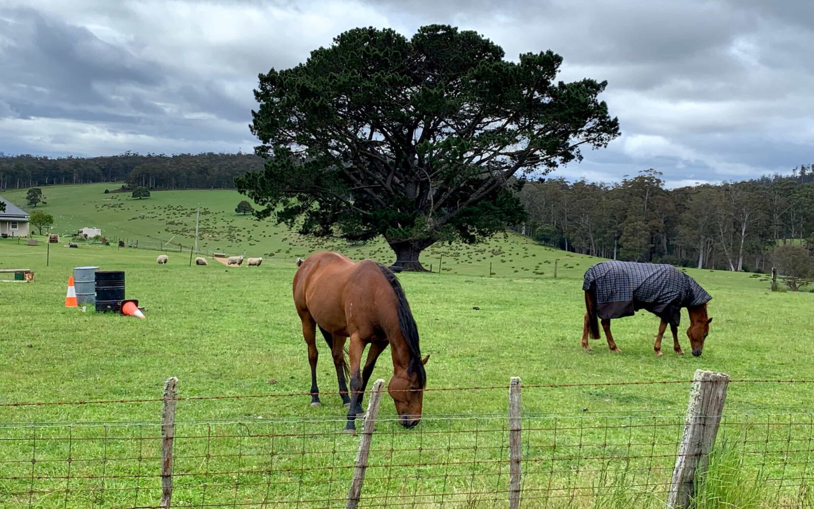 Mt Barrow / Gravel Ride Guide by Dirty Freehub