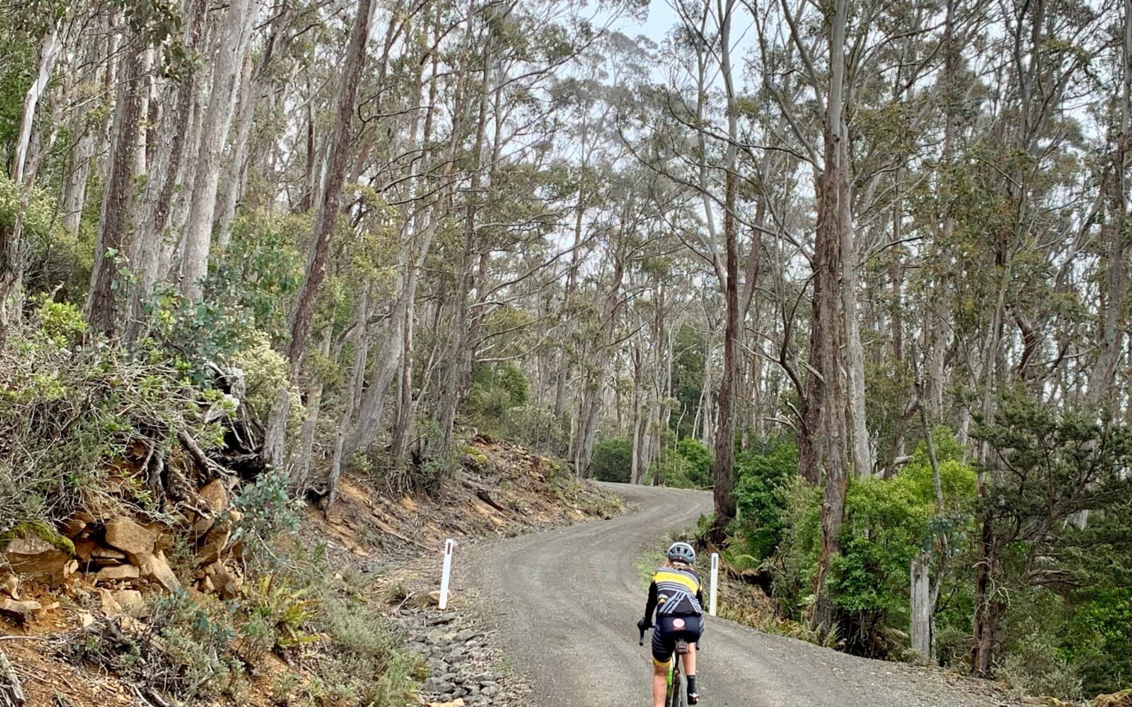 Mt Barrow / Gravel Ride Guide by Dirty Freehub