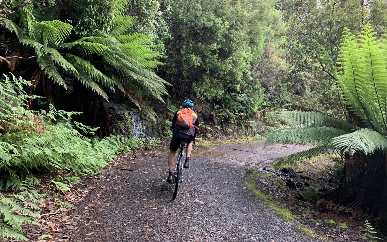 Pipeline Track / Gravel Ride Guide by Dirty Freehub