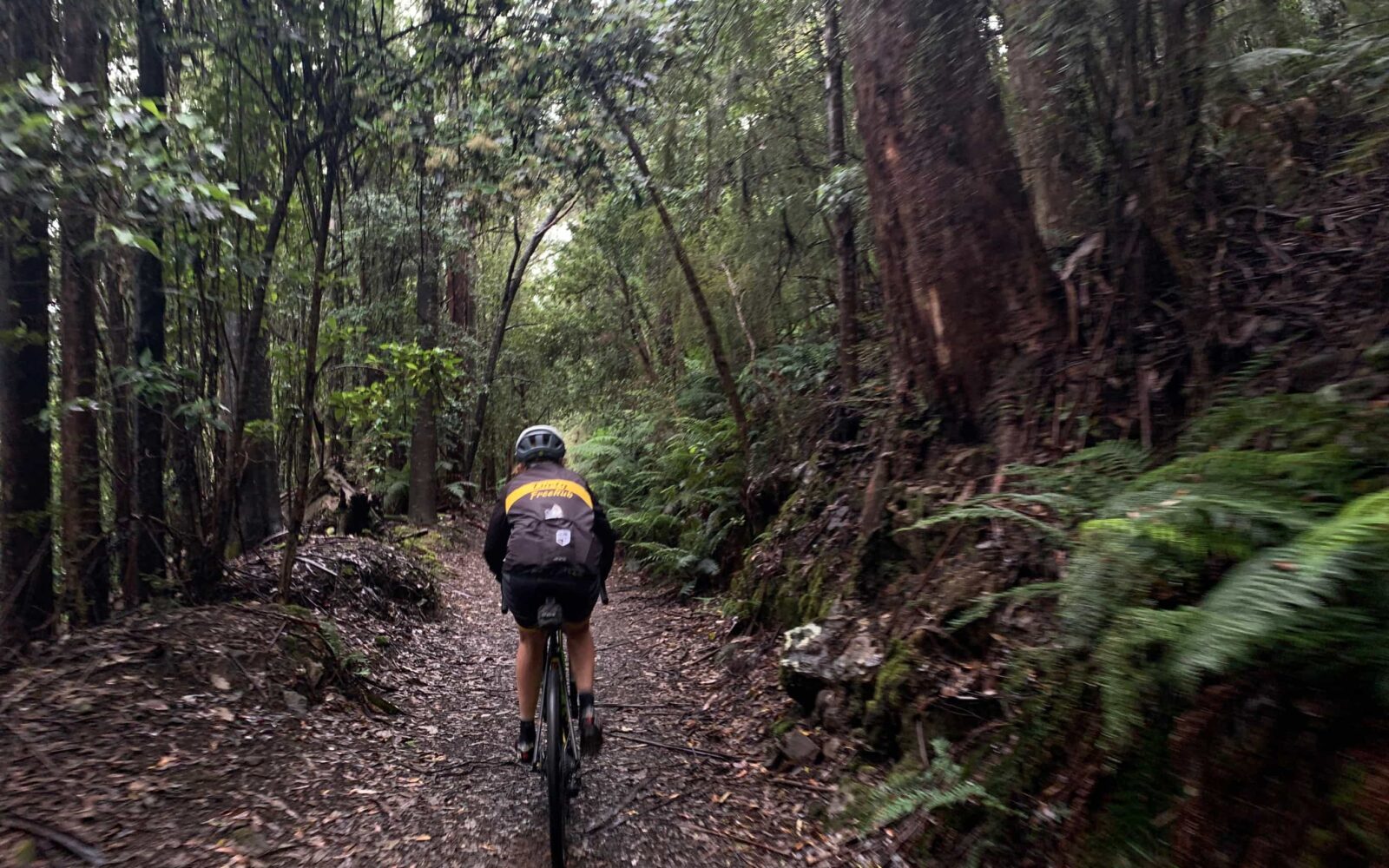 Pipeline Track / Gravel Ride Guide by Dirty Freehub