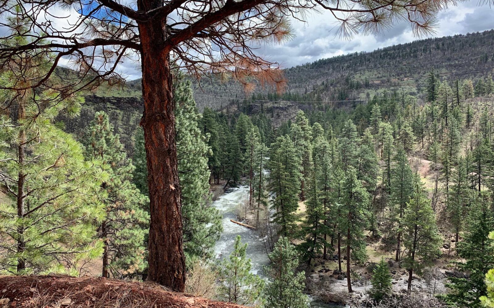 White River Loop / Gravel Ride Guide by Dirty Freehub