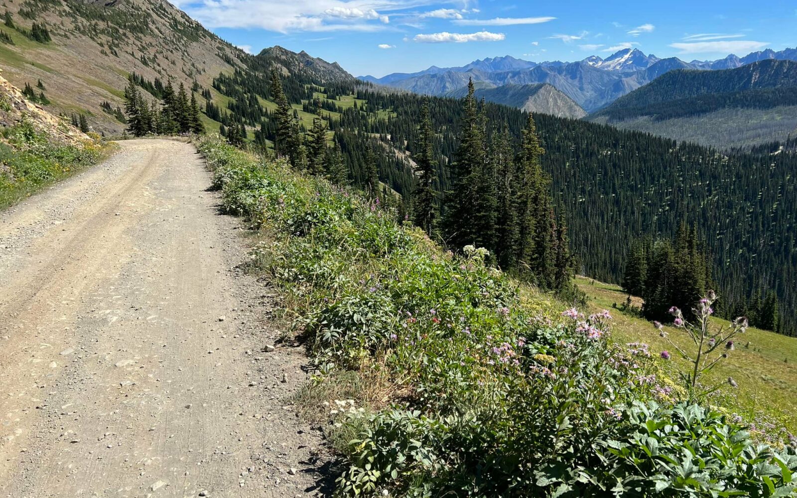 Hart's Pass / Slate Peak / Gravel Ride Guide by Dirty Freehub