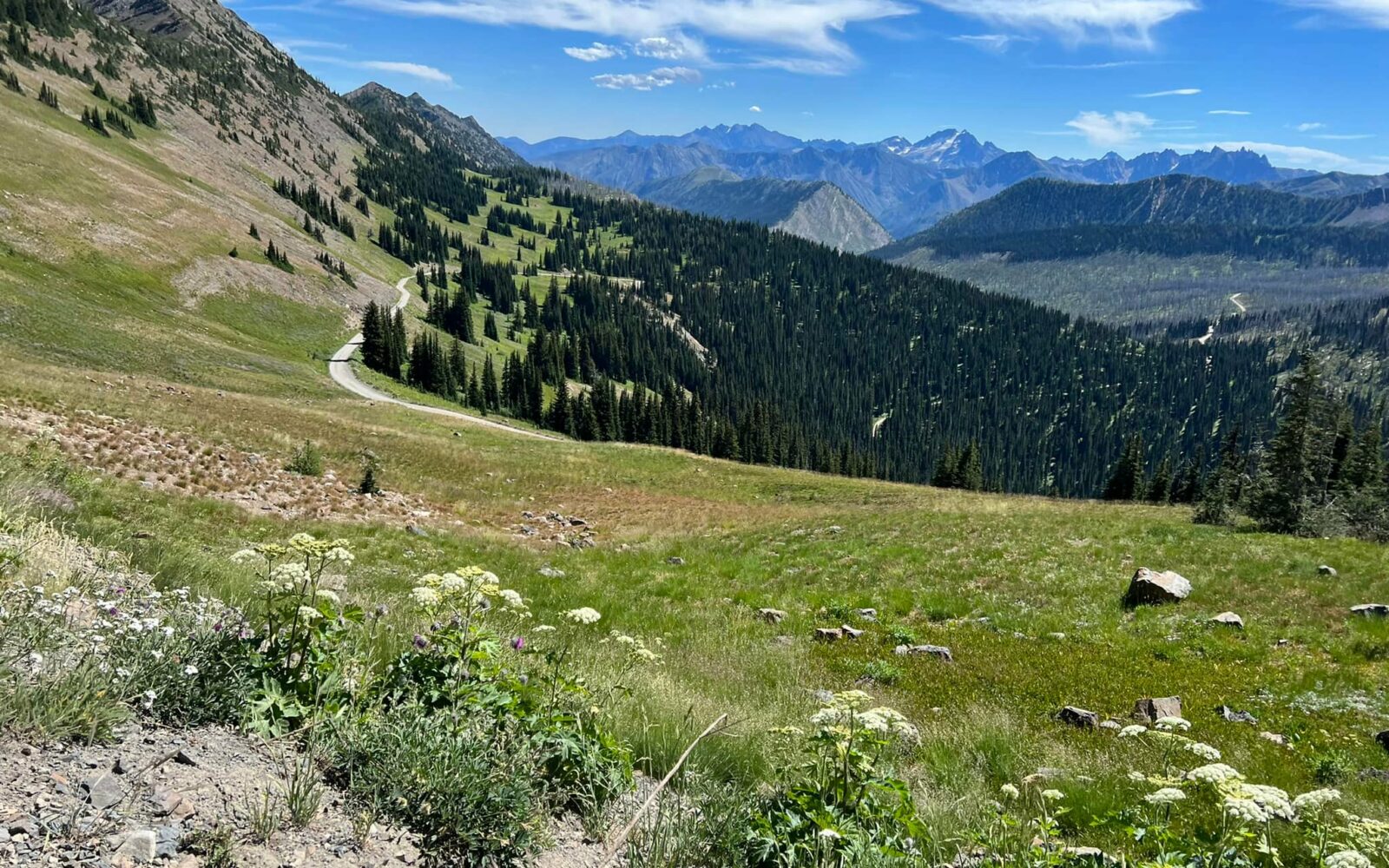 Hart's Pass / Slate Peak / Gravel Ride Guide by Dirty Freehub