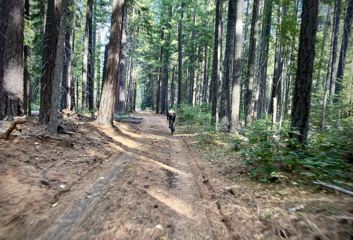 Metolius Preserve + Bonus Lakes / Gravel Ride Guide by Dirty Freehub