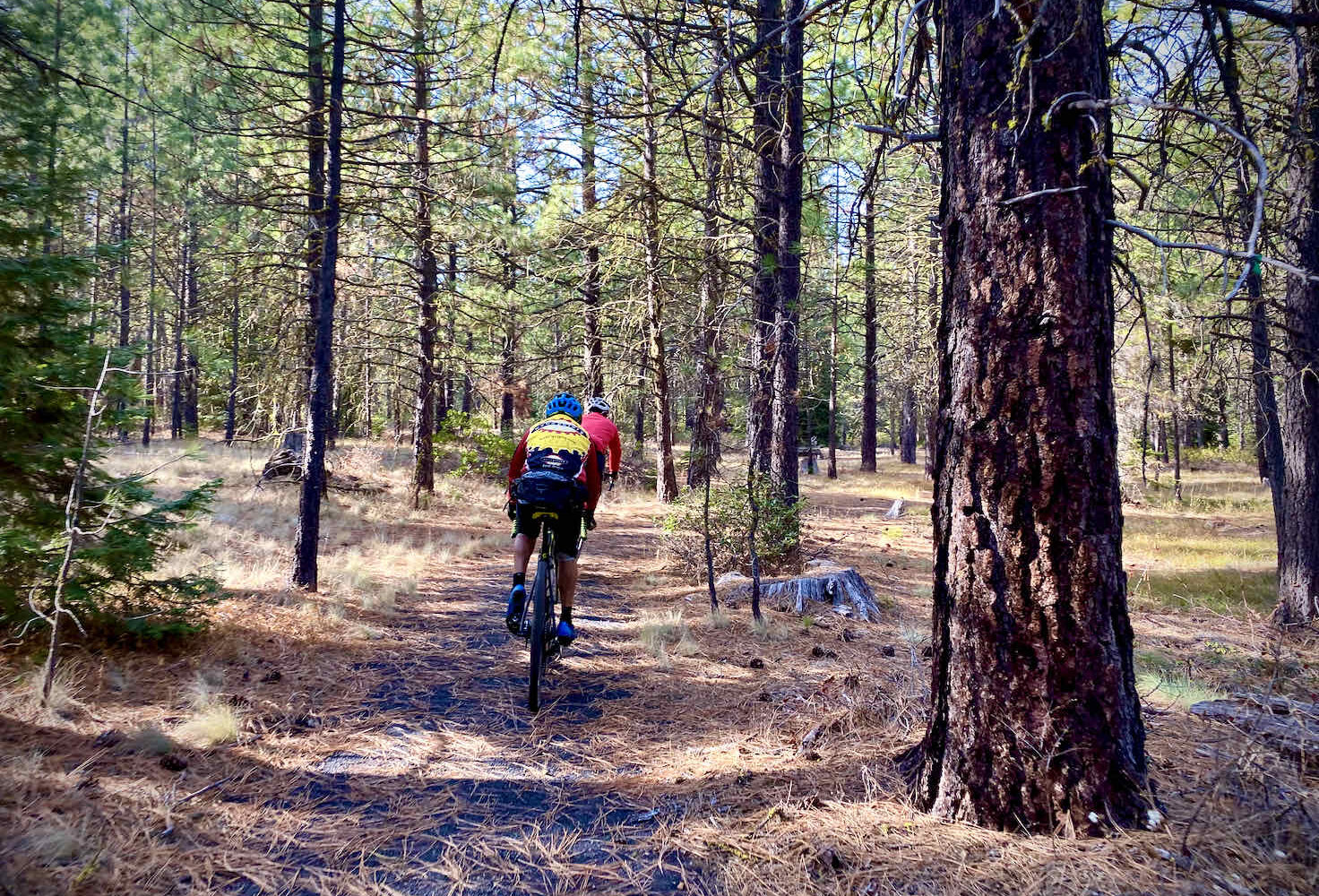 Metolius Preserve + Bonus Lakes / Gravel Ride Guide by Dirty Freehub