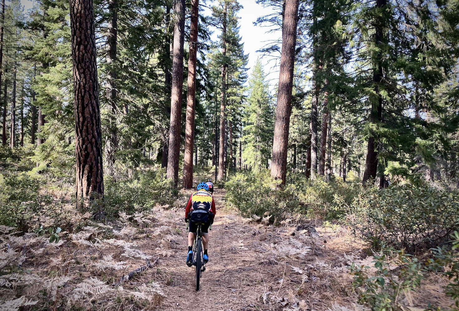 Metolius Preserve + Bonus Lakes / Gravel Ride Guide by Dirty Freehub