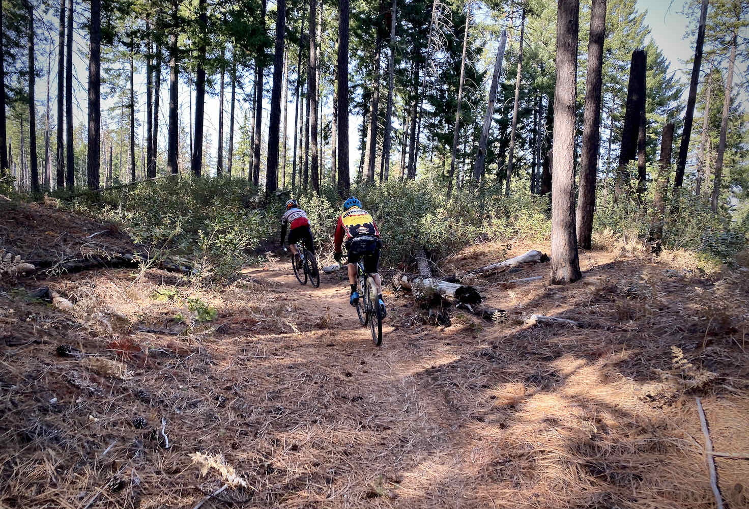 Metolius Preserve + Bonus Lakes / Gravel Ride Guide by Dirty Freehub
