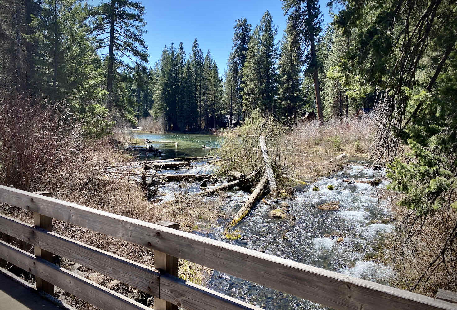 Metolius Preserve + Bonus Lakes / Gravel Ride Guide by Dirty Freehub