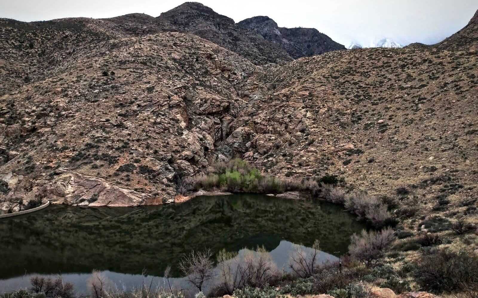 Frye Mesa / Gravel Ride Guide by Dirty Freehub