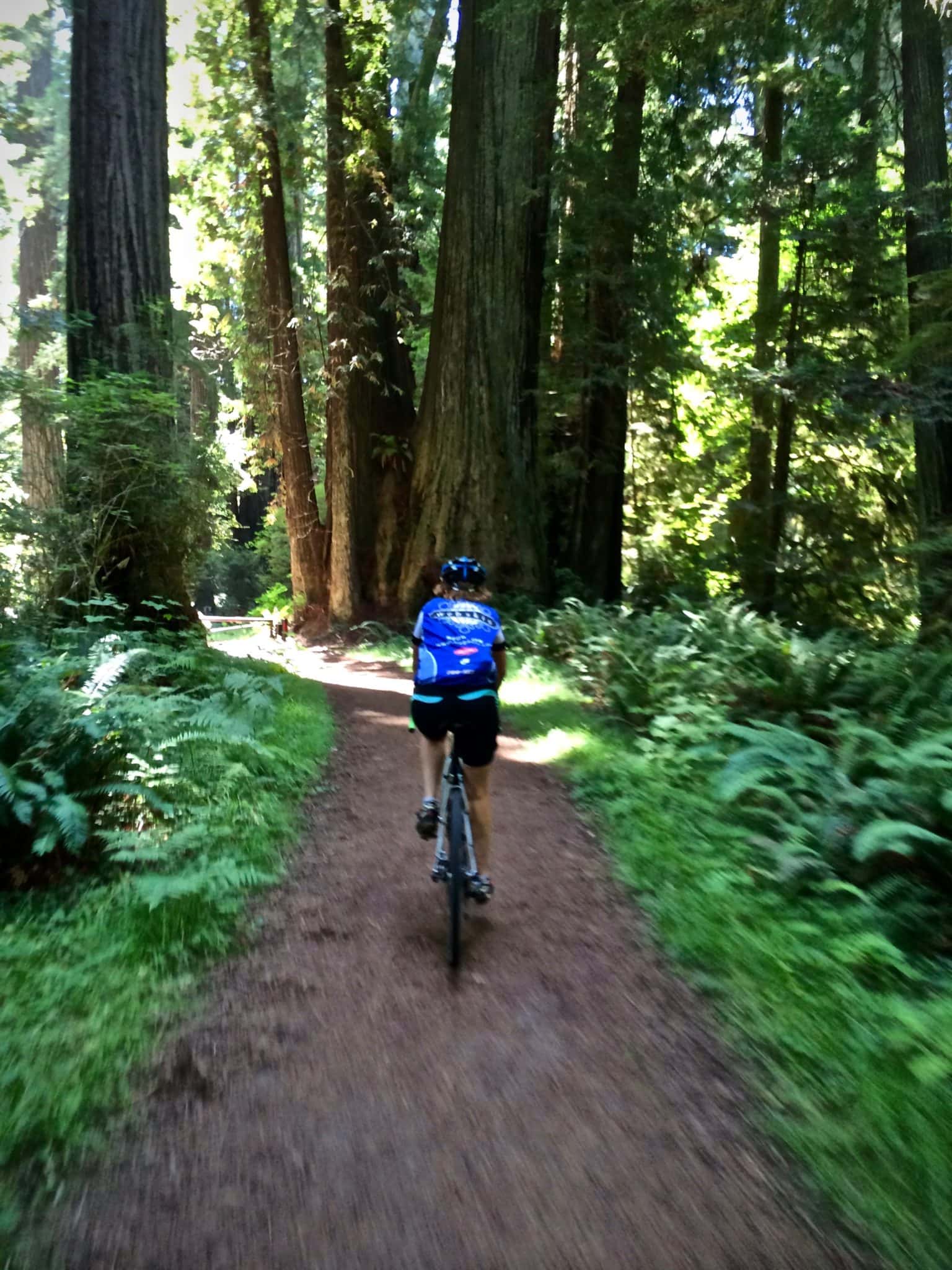 Prairie Creek / Gravel Ride Guide by Dirty Freehub