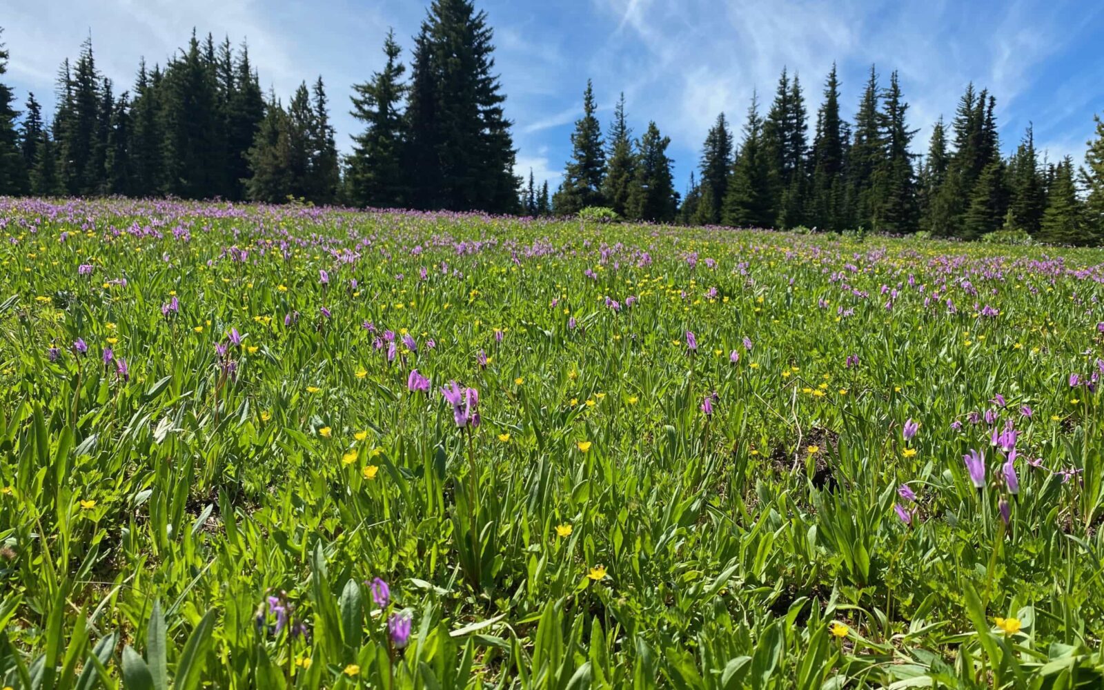 Bennett Pass / Gravel Ride Guide by Dirty Freehub