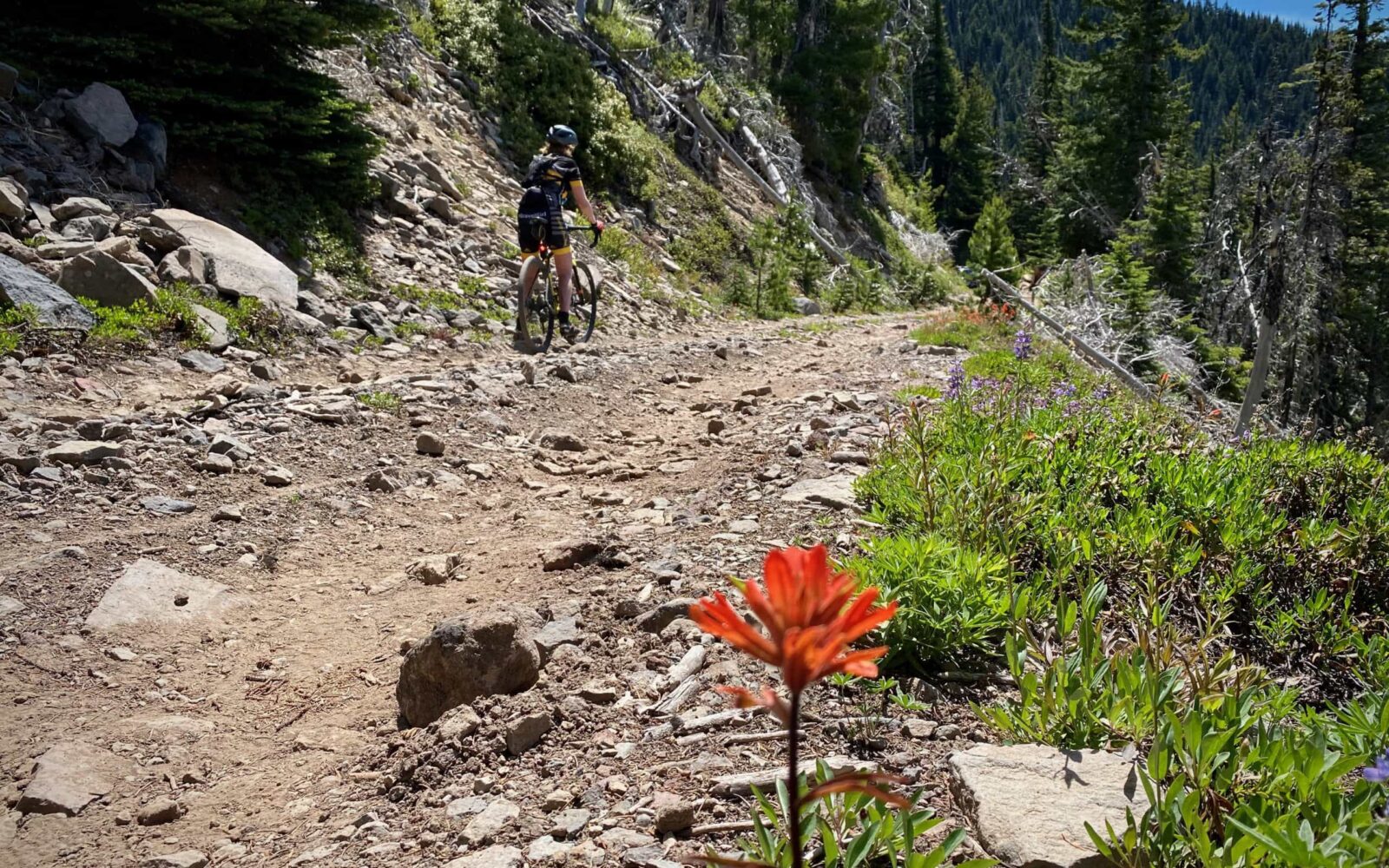 Bennett Pass / Gravel Ride Guide by Dirty Freehub