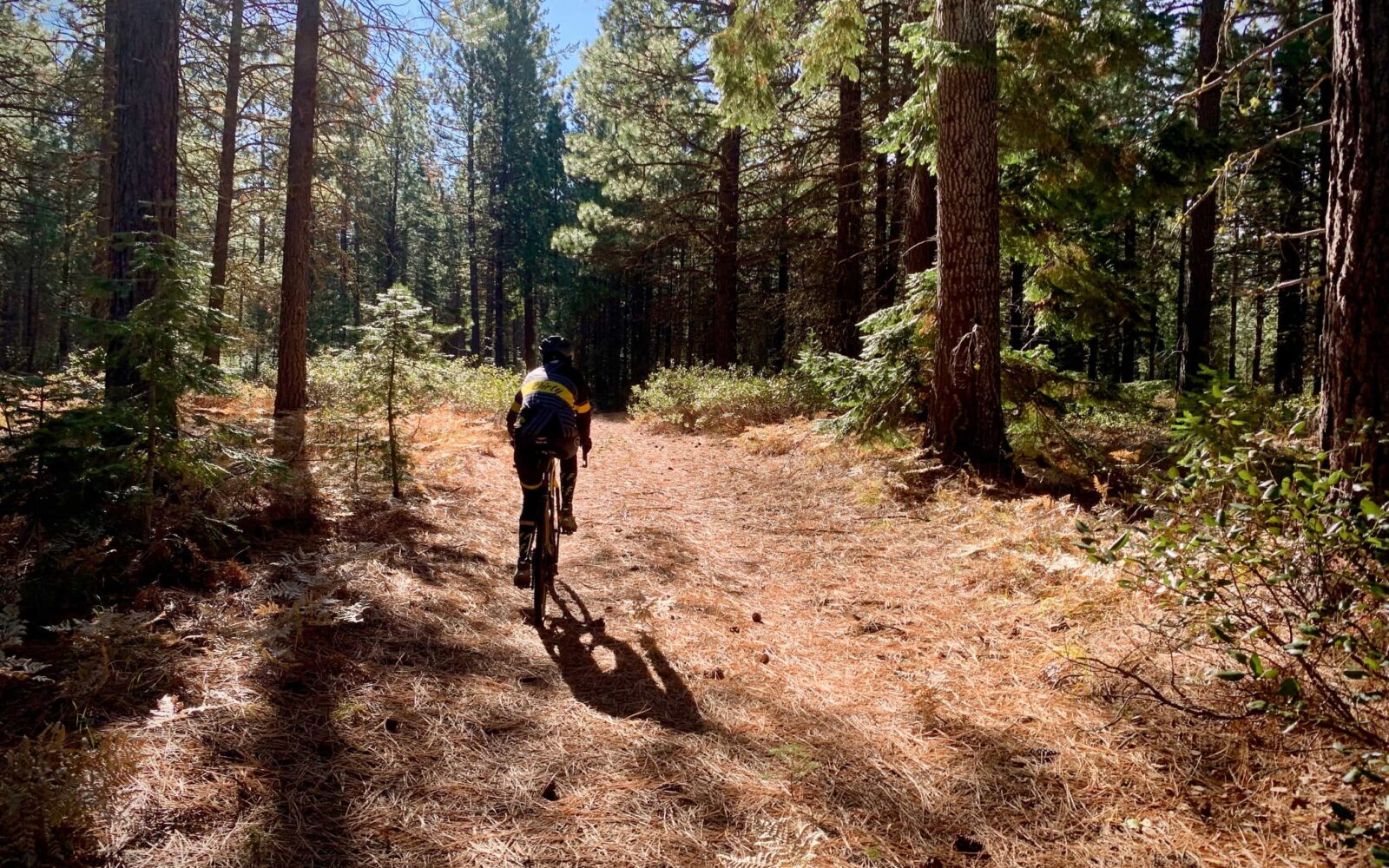 Metolius Preserve / Gravel Ride Guide by Dirty Freehub