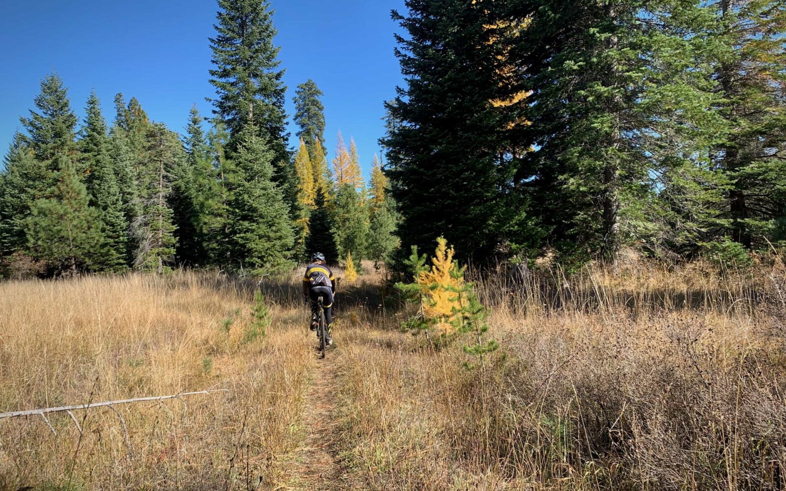 Metolius Preserve / Gravel Ride Guide by Dirty Freehub