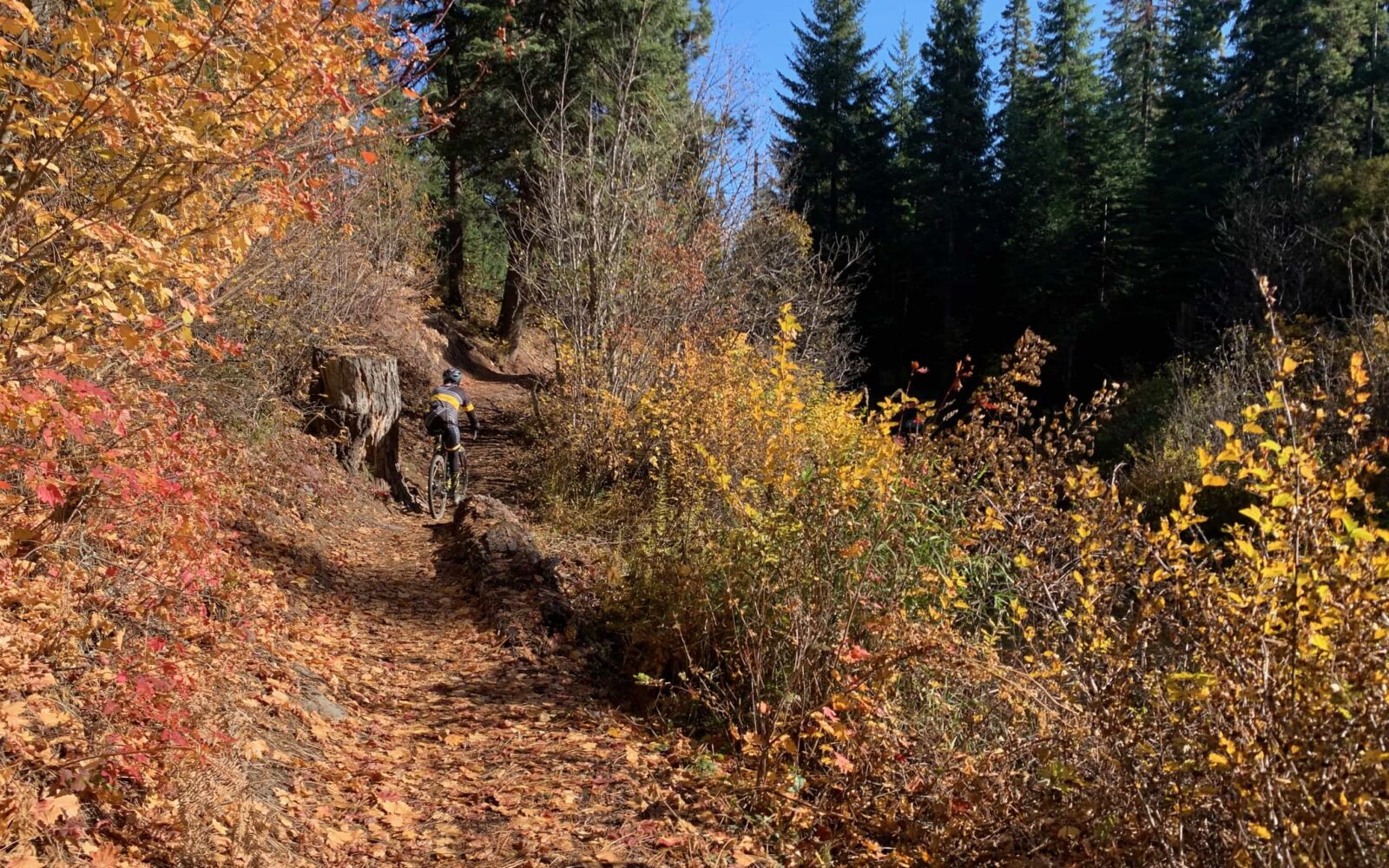 Metolius Preserve / Gravel Ride Guide by Dirty Freehub