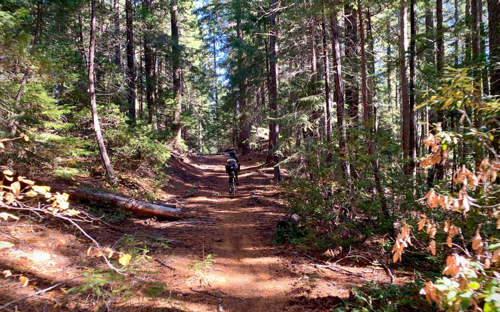 Metolius Preserve / Gravel Ride Guide by Dirty Freehub