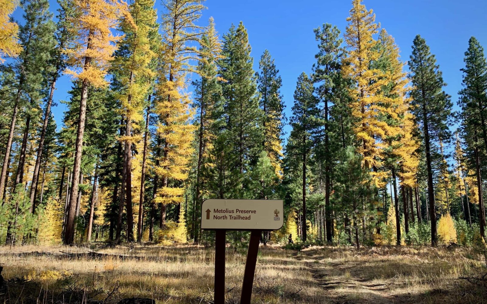 Metolius Preserve / Gravel Ride Guide by Dirty Freehub