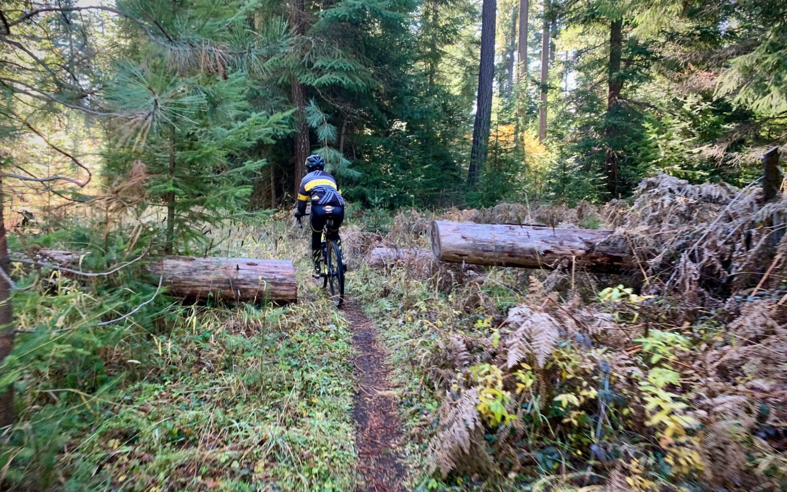 Metolius Preserve / Gravel Ride Guide by Dirty Freehub