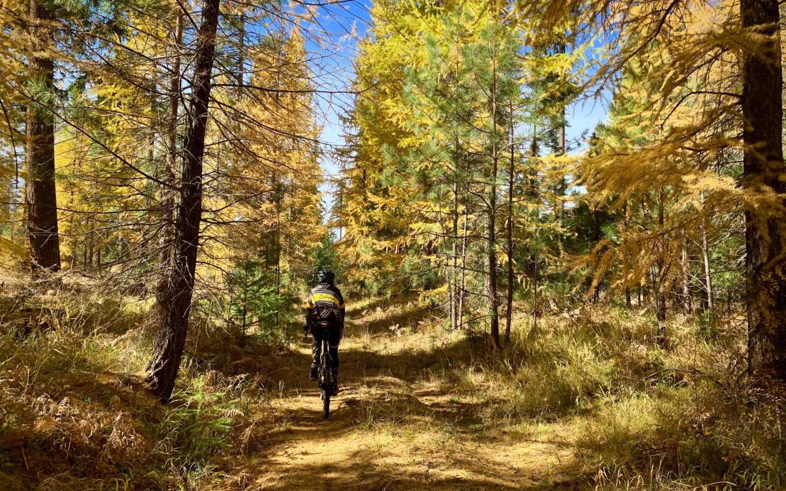 Metolius Preserve / Gravel Ride Guide by Dirty Freehub