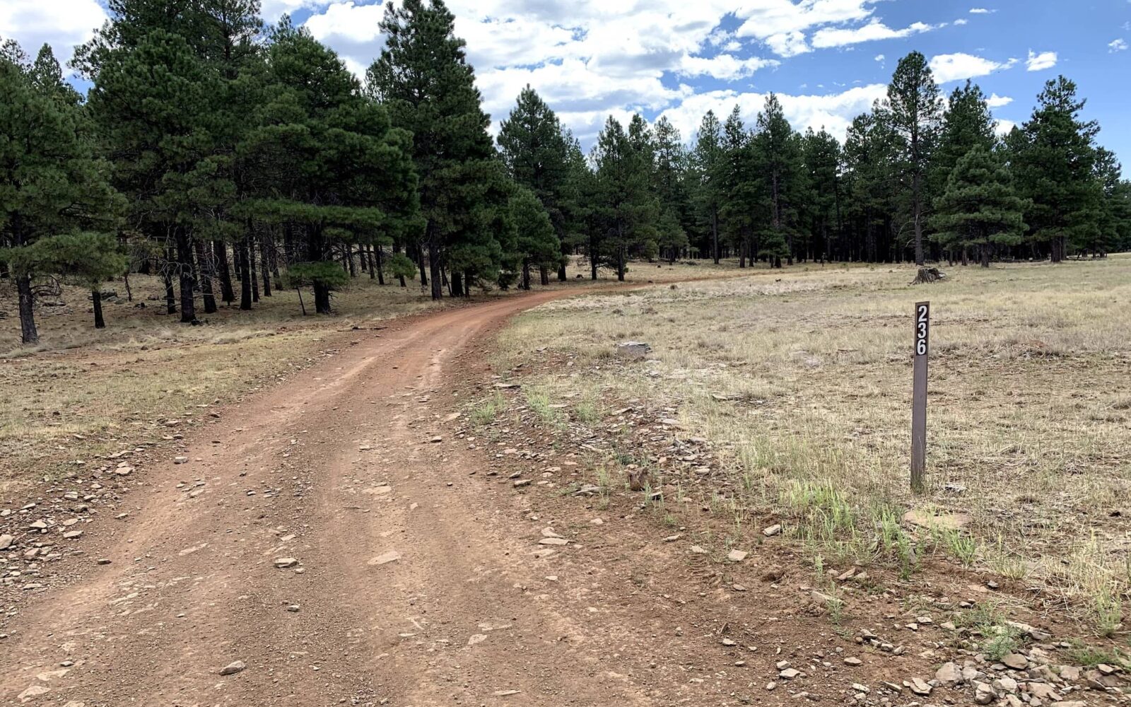 Playa Ponderosa / Gravel Ride Guide by Dirty Freehub