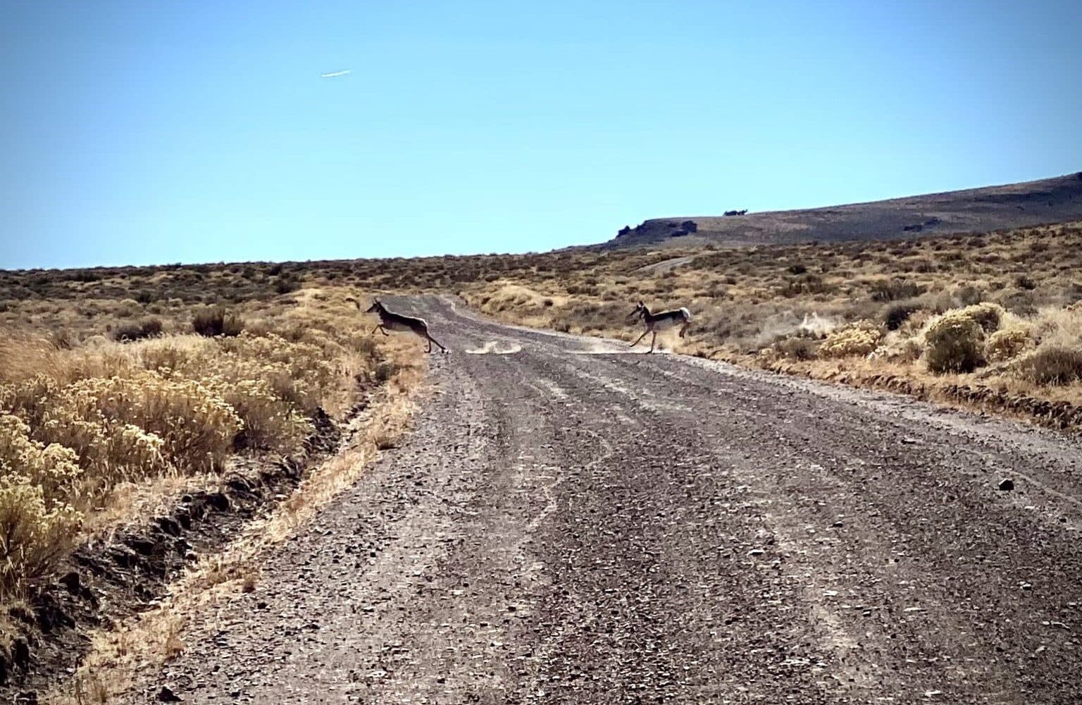Shirk Ranch / Gravel Ride Guide by Dirty Freehub
