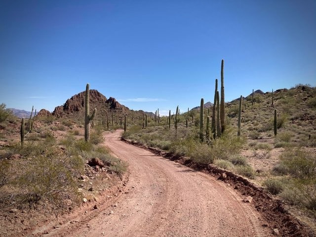Pozo Nuevo / Gravel Ride Guide by Dirty Freehub