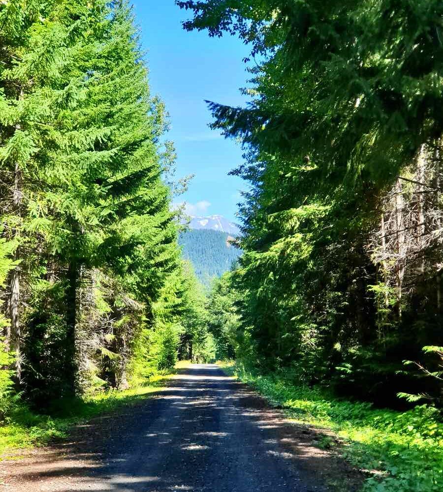 Indian Heaven / Gravel Ride Guide by Dirty Freehub