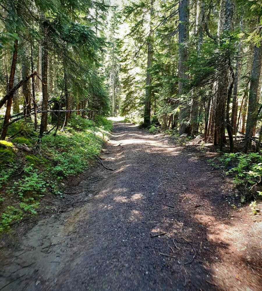 Indian Heaven / Gravel Ride Guide by Dirty Freehub