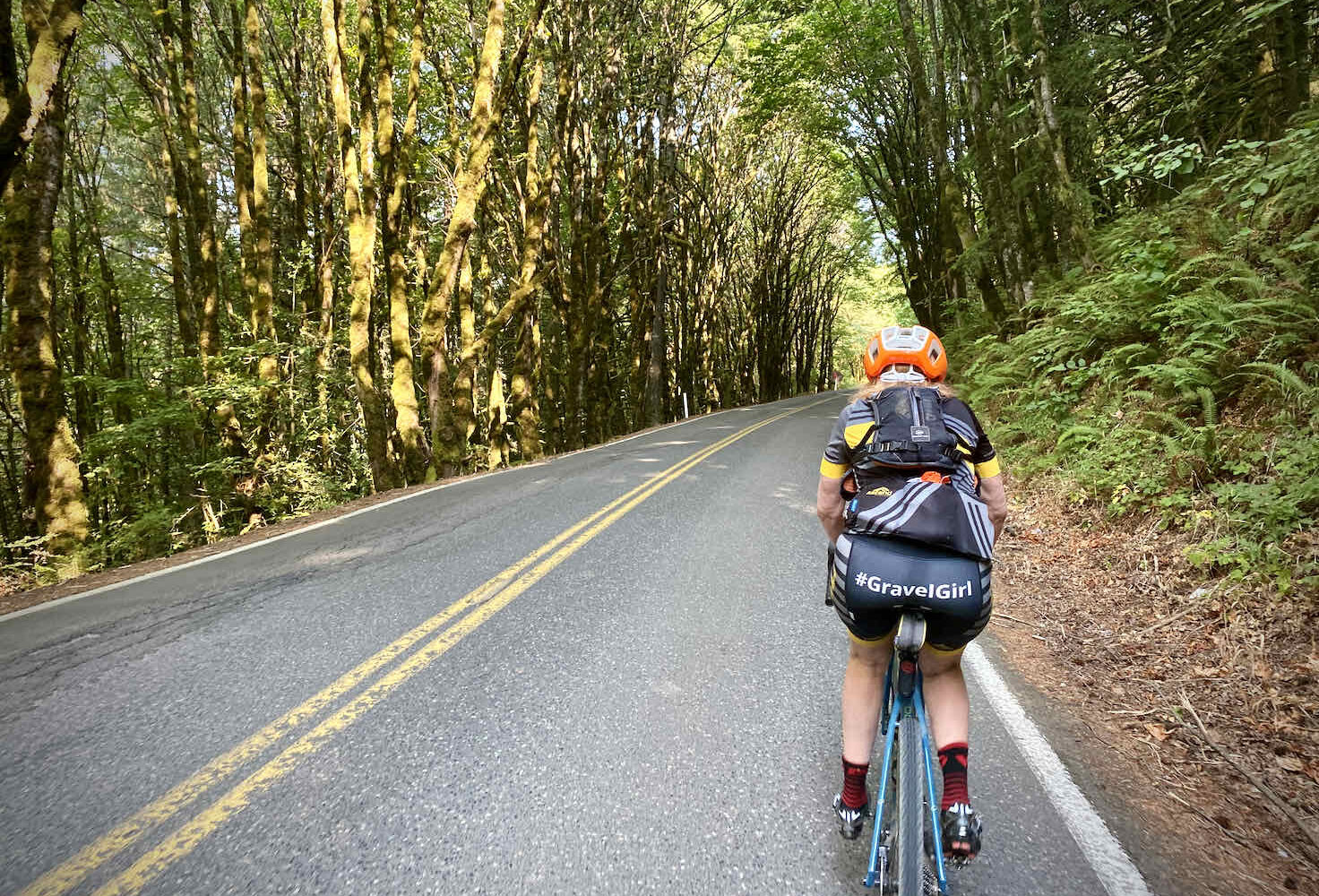 Chehalem Vineyard Tour / Gravel Ride Guide by Dirty Freehub