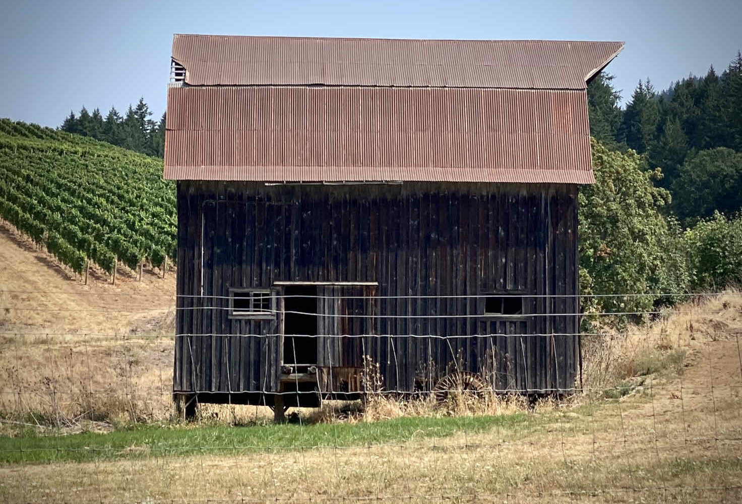 Chehalem Vineyard Tour / Gravel Ride Guide by Dirty Freehub