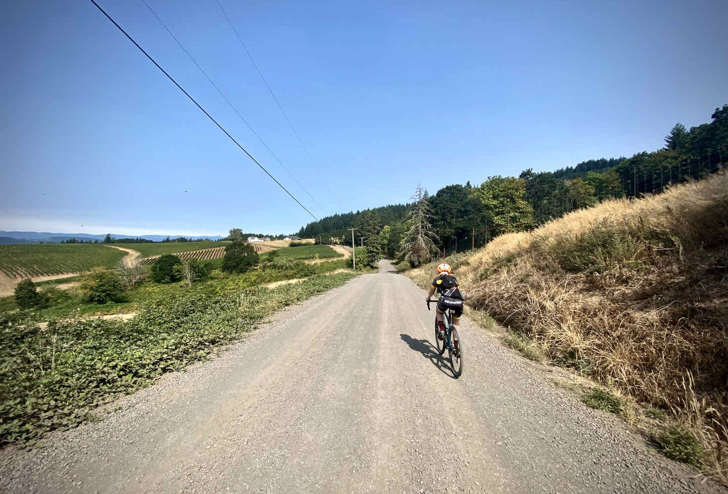 Chehalem Vineyard Tour / Gravel Ride Guide by Dirty Freehub