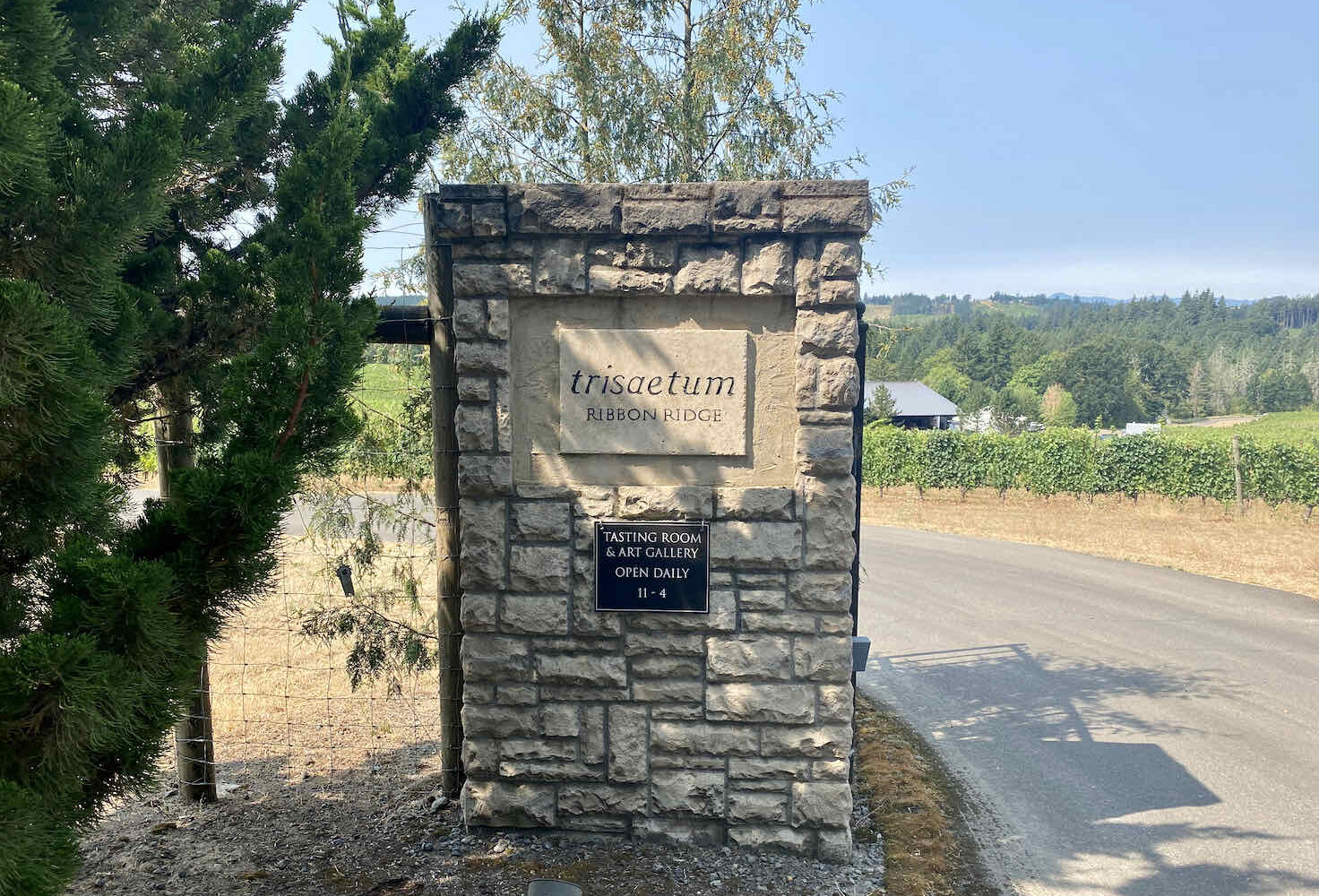 Chehalem Vineyard Tour / Gravel Ride Guide by Dirty Freehub