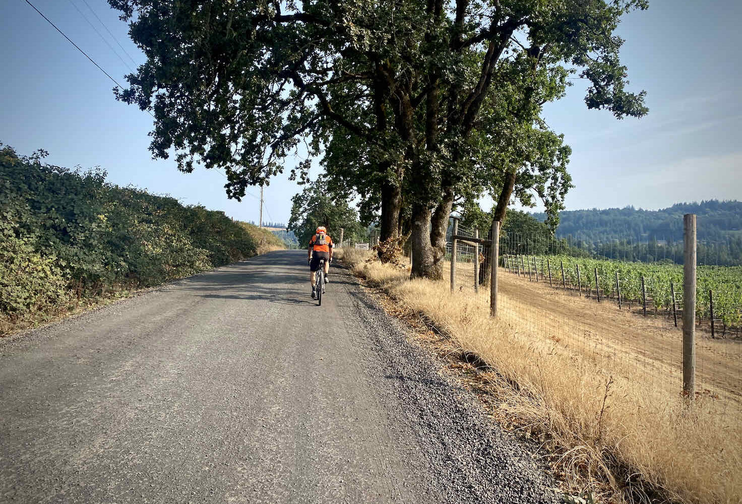 Chehalem Vineyard Tour / Gravel Ride Guide by Dirty Freehub