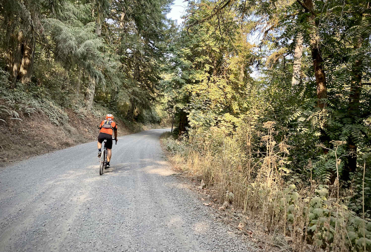 Chehalem Vineyard Tour / Gravel Ride Guide by Dirty Freehub