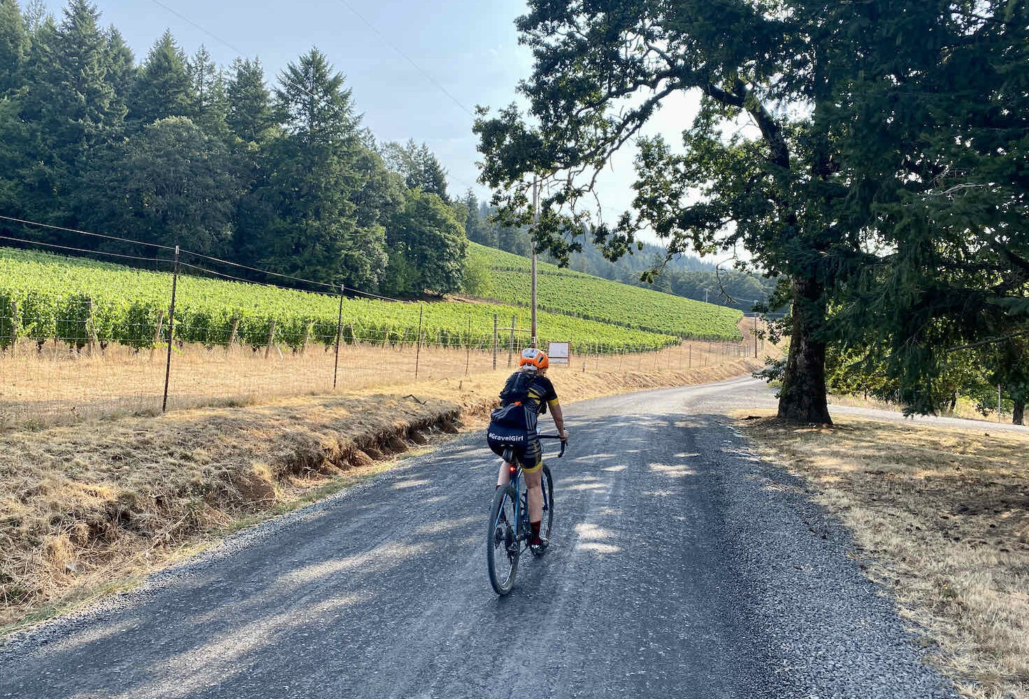 Chehalem Vineyard Tour / Gravel Ride Guide by Dirty Freehub