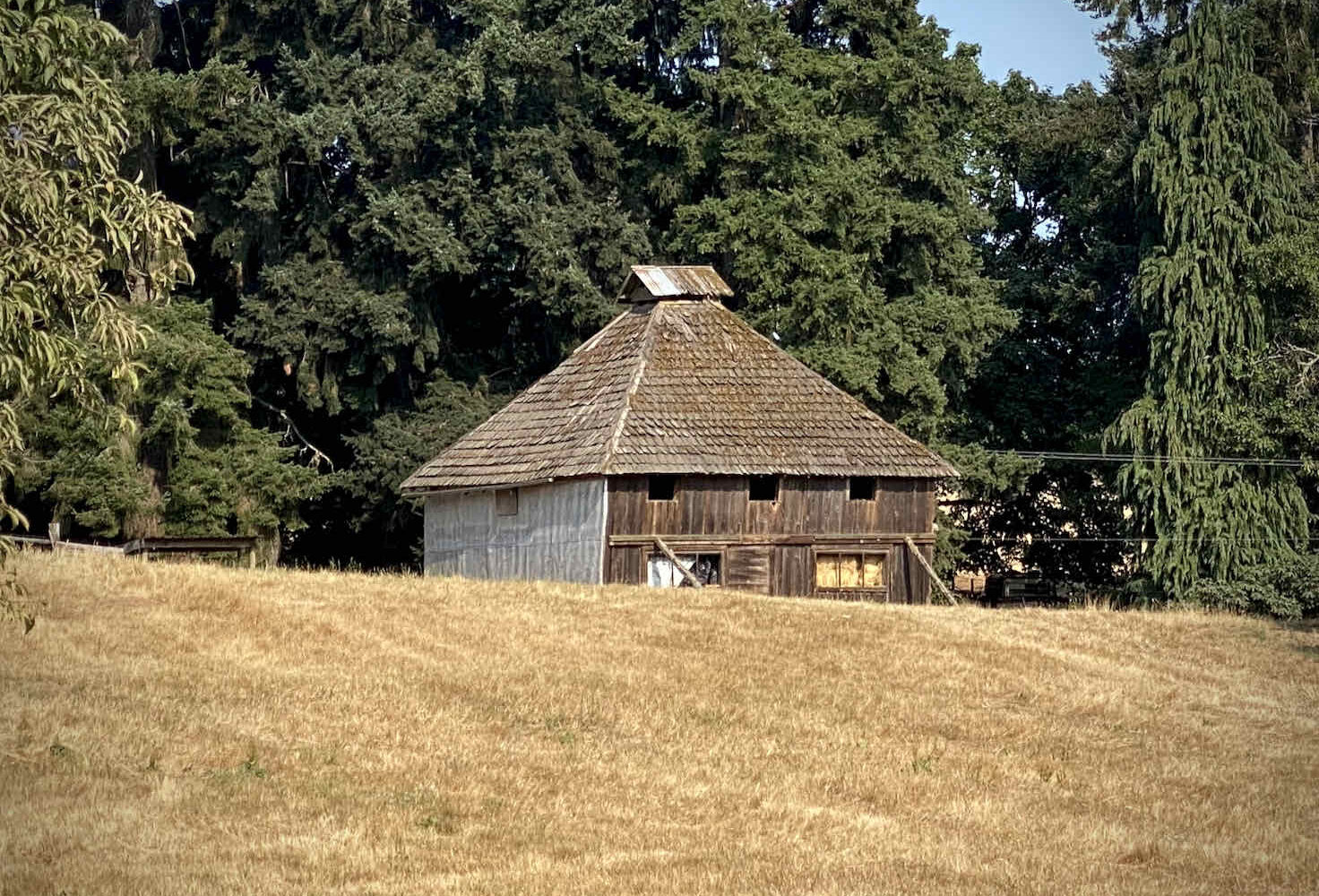 Chehalem Vineyard Tour / Gravel Ride Guide by Dirty Freehub