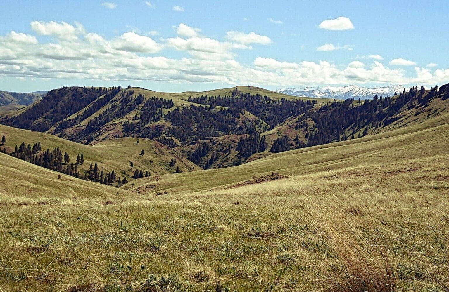 Wallowas Tour / Gravel Ride Guide by Dirty Freehub