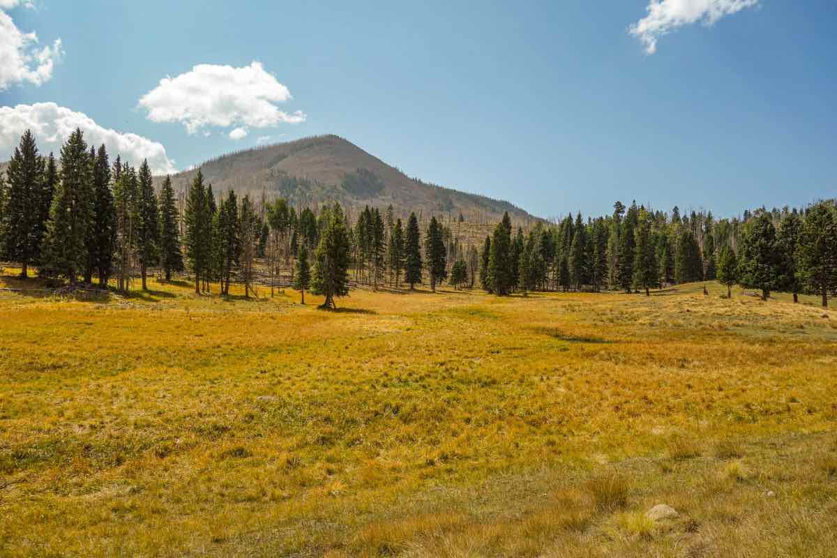 Valles Caldera / Gravel Ride Guide by Dirty Freehub