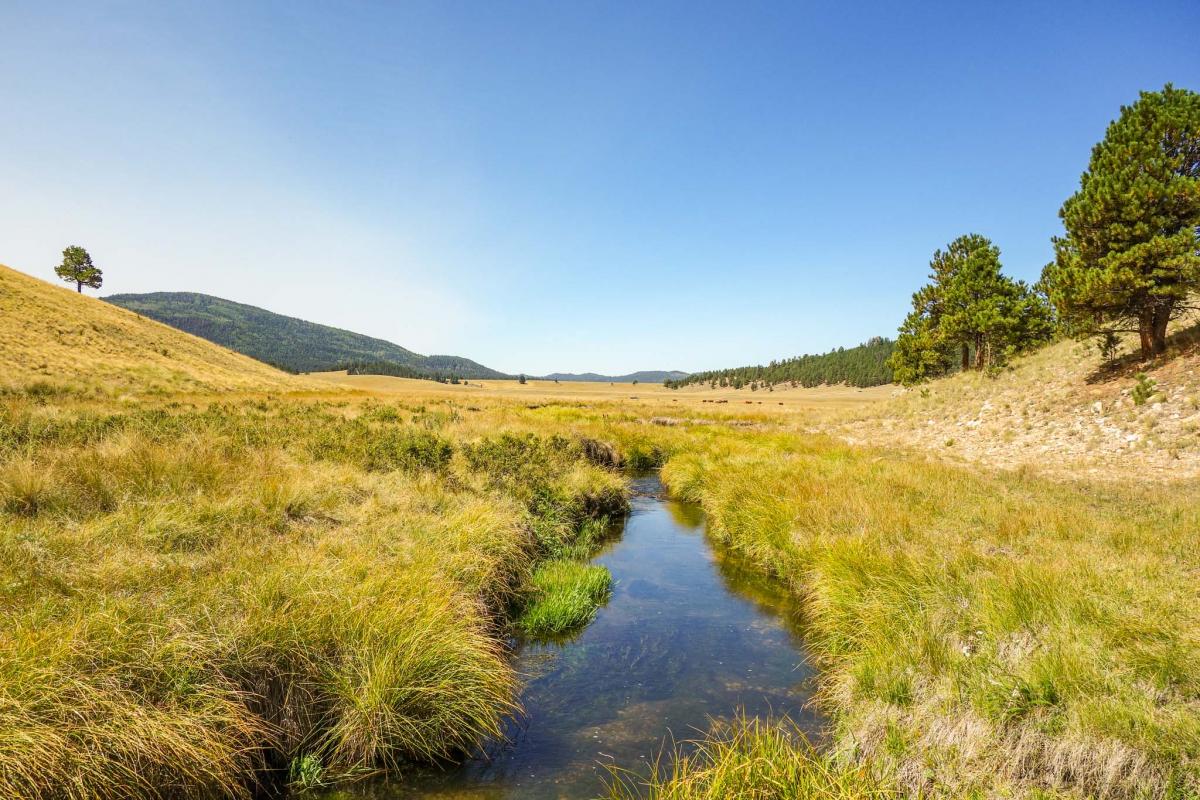 Valles Caldera / Gravel Ride Guide by Dirty Freehub
