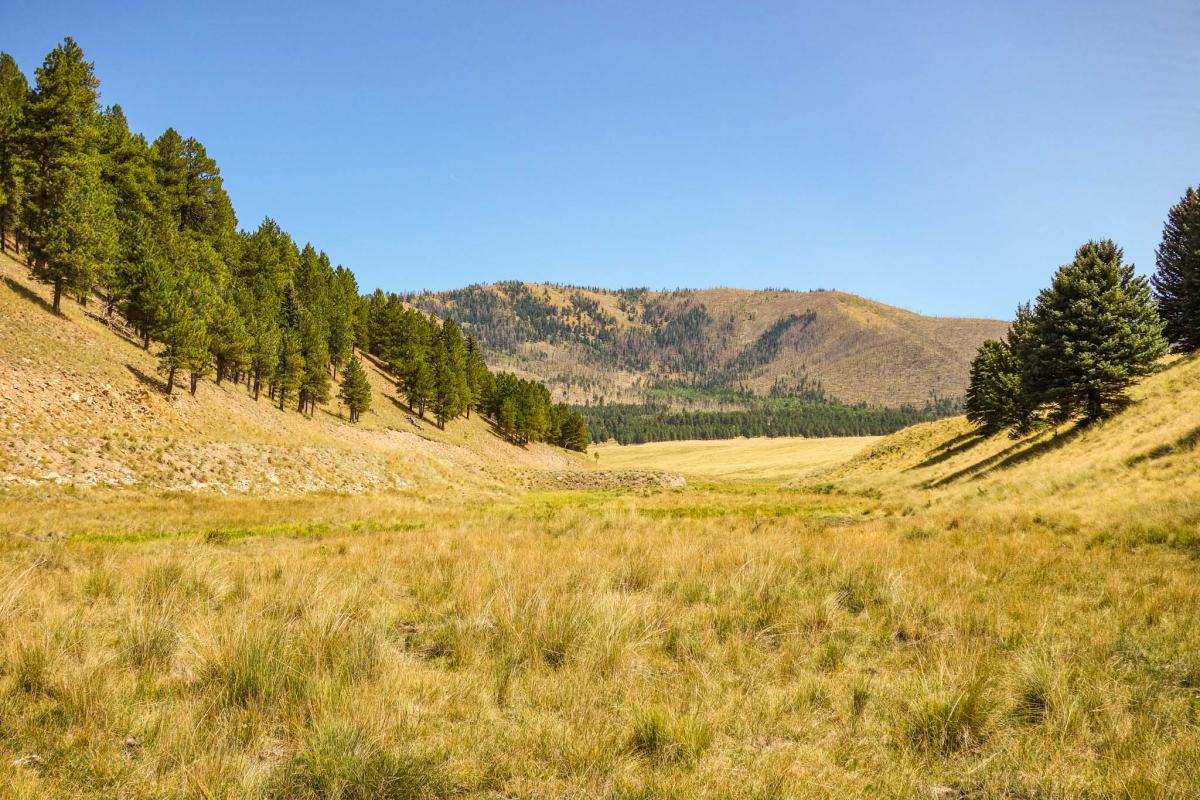 Valles Caldera / Gravel Ride Guide by Dirty Freehub